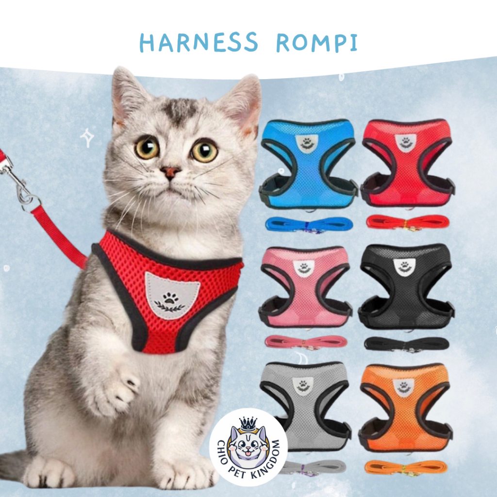 Jual Tali Harness Rompi Kucing / Tali Tuntun Harness | Shopee Indonesia