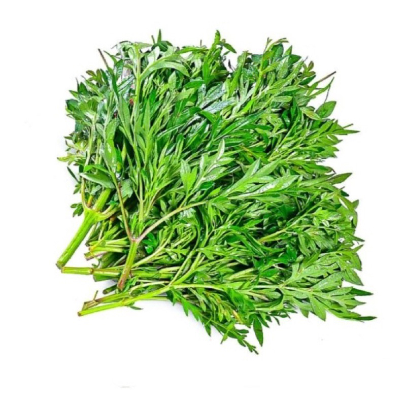 Jual sayur daun kenikir 1 ikat (tidak setiap hari) | Shopee Indonesia