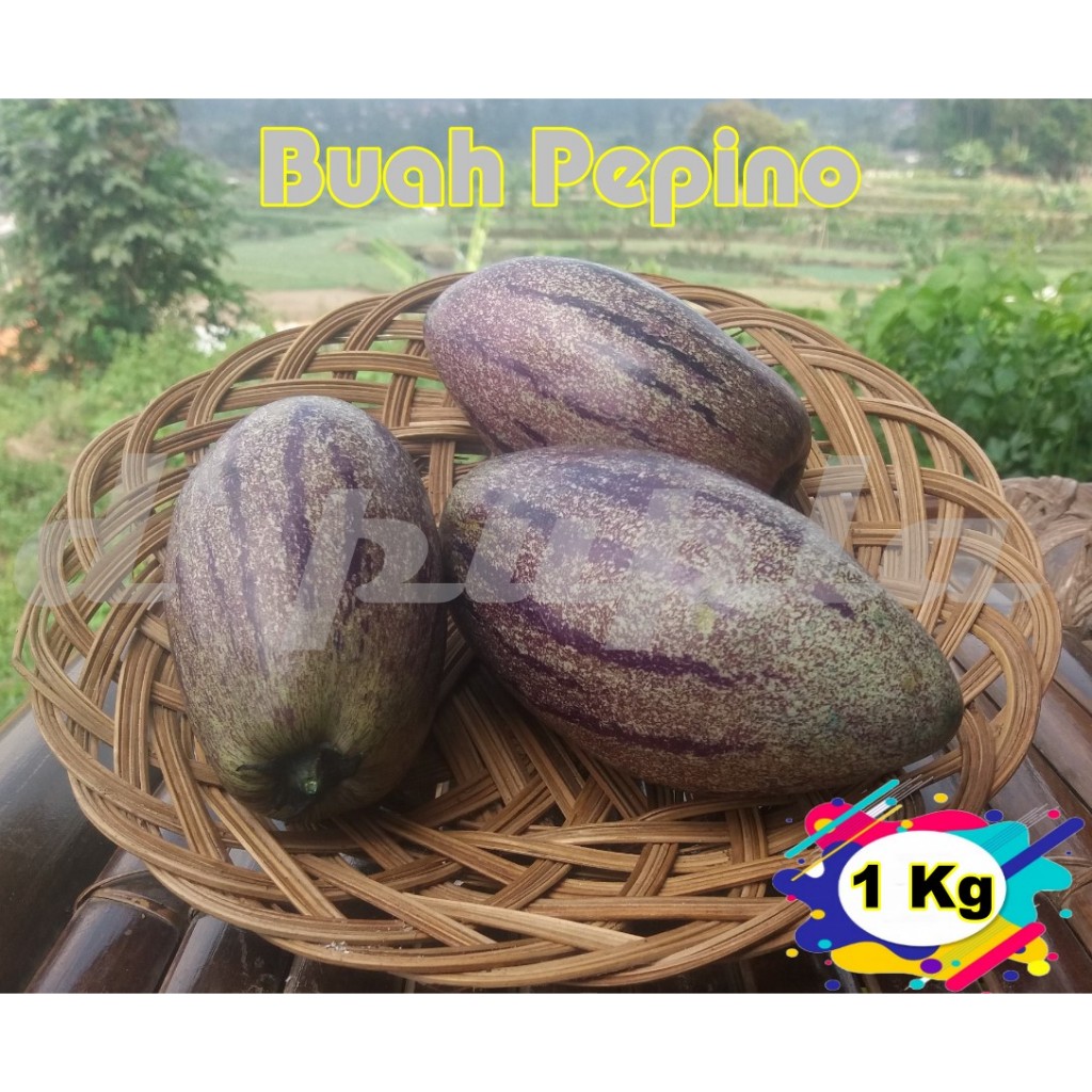 Jual Buah Pepino 1kg | Shopee Indonesia