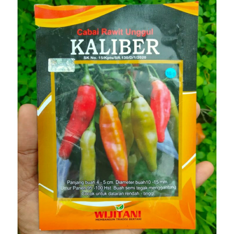 Jual Benih Cabe Rawit Kaliber Original Kemasan Repack isi 100 Biji ...