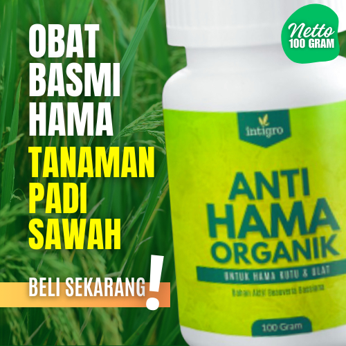 Jual Obat Pembasmi Hama Pada Tanaman Padi Wereng Coklat Hijau Walang ...