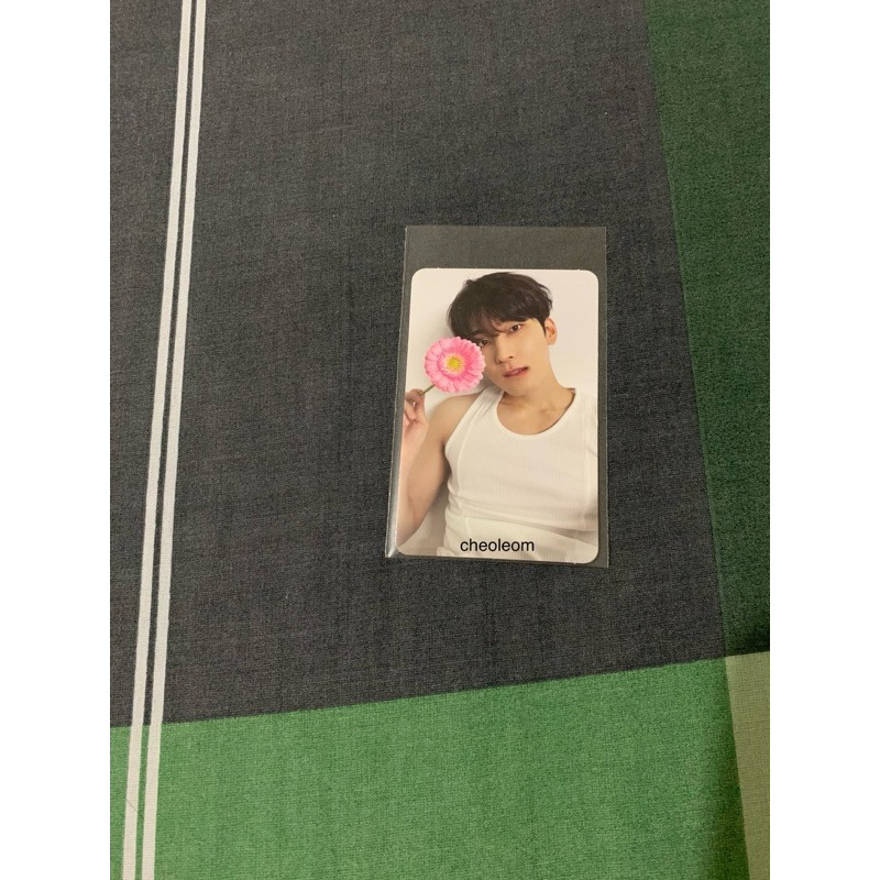 Jual [READY] PHOTOCARD SEVENTEEN BEST ALBUM 17 IS RIGHT HERE DEAR VER ...