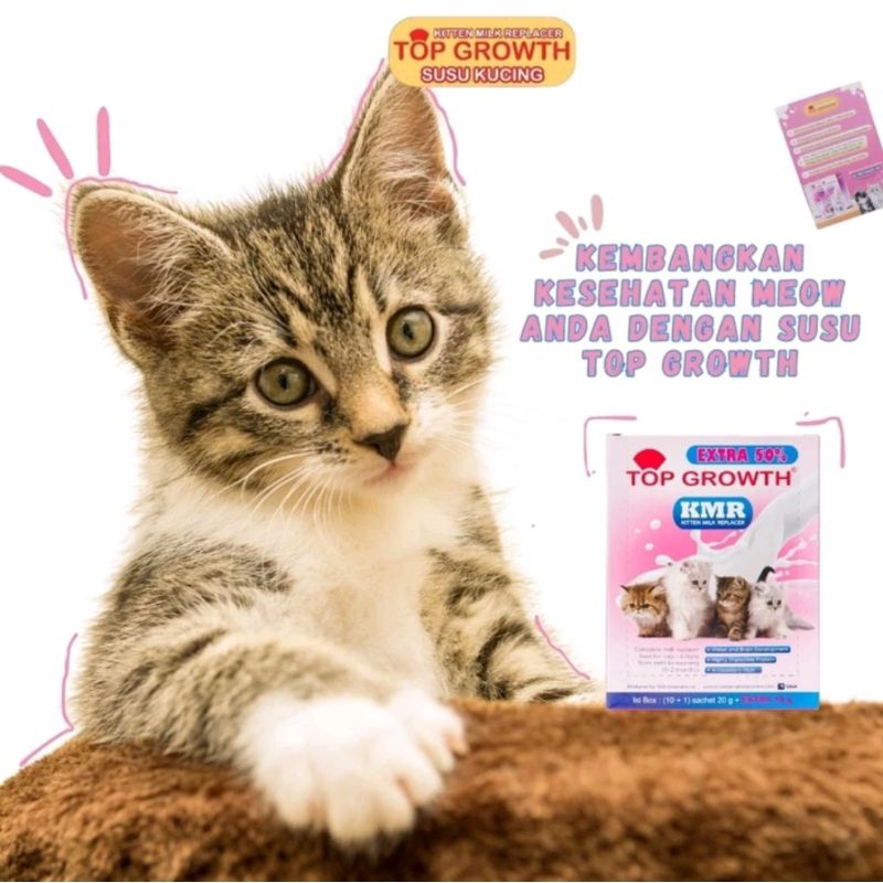 Jual Susu Kucing Top Growth Anak Kucing | Shopee Indonesia