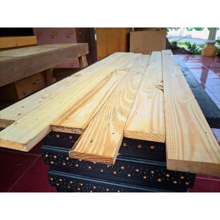 Produk JATI BELANDA SIDOARJO | Shopee Indonesia