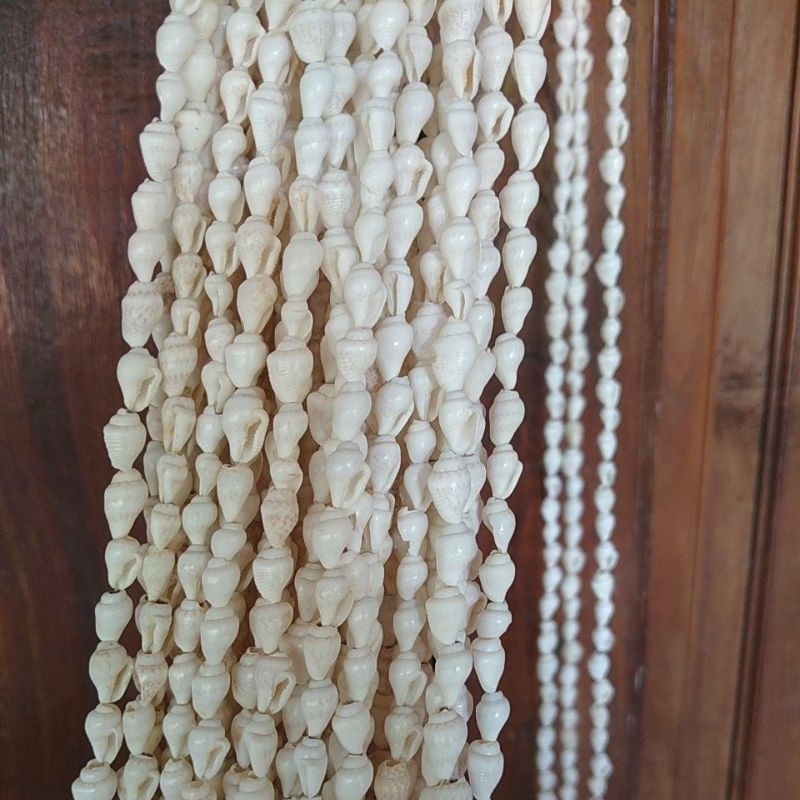 Jual Tirai kerang Polos kerang berasan Putih GLOWING 200cm 20 lonjor ...