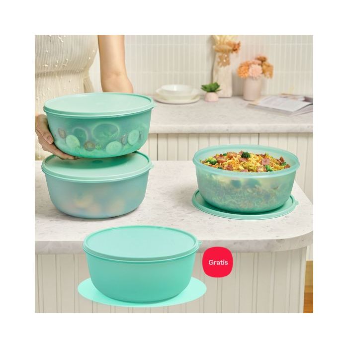 Jual TUPPERWARE WADAH PENYIMPANAN MANGKOK JUMBO BASKOM PLASTIK SET ...
