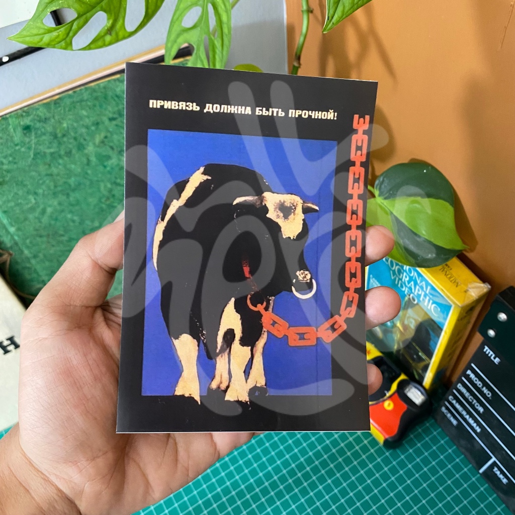 Jual stiker sapi / stiker poster / sticker aesthetic / sticker tumblr ...