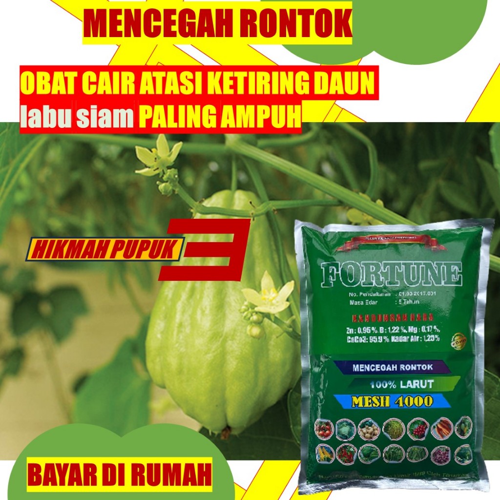 Jual Pupuk Sayuran Labu Siam MESH 4000 Plus Boron Plus Zink Pencegah ...