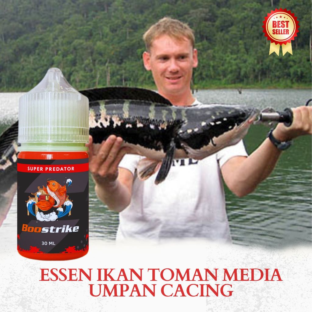 Jual Essen Ikan Toman Media umpan Cacing | Shopee Indonesia