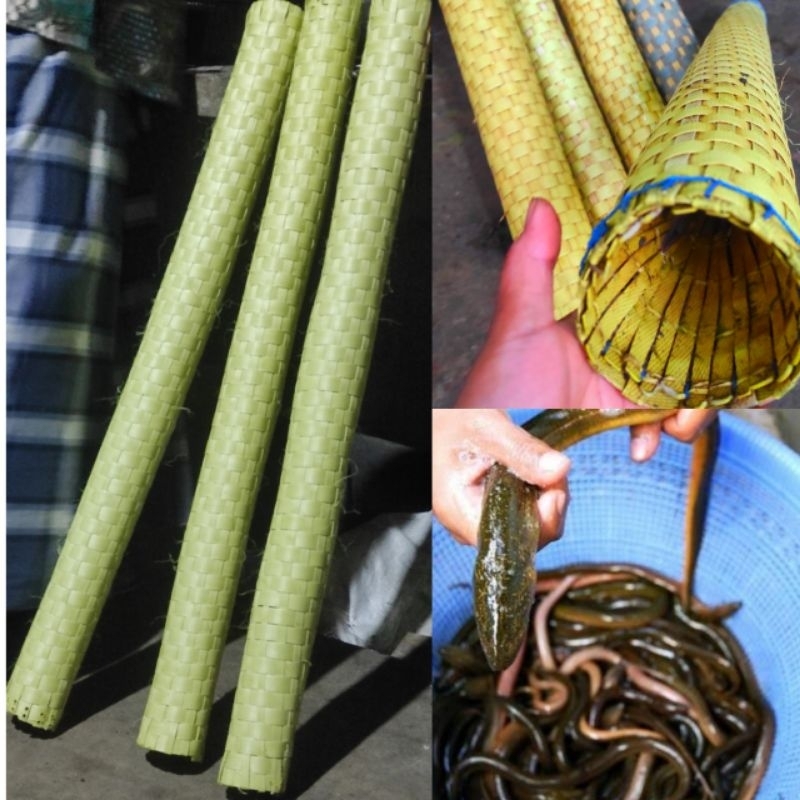 Jual Bubu atau Telik perangkap Belut kuat tahan lama (SEDANG) | Shopee ...