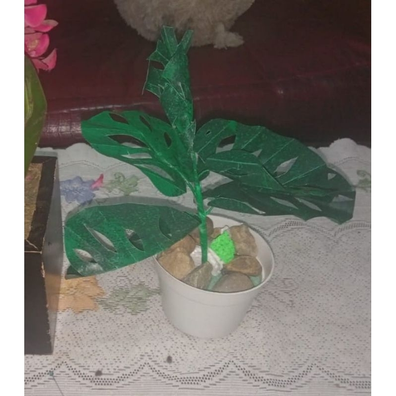Jual Bunga Janda Bolong Dari Plastik | Shopee Indonesia