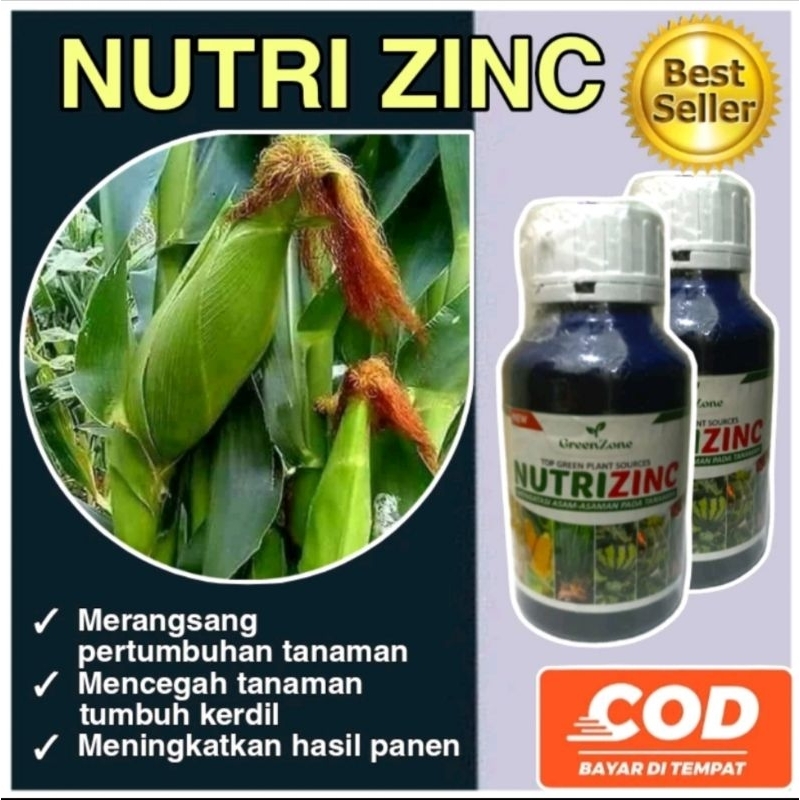 Jual Nutrizinc Pupuk Mengatasi Asam Asaman | Pemacu Pertumbuhan | Perkembangan | Segala jeni ...