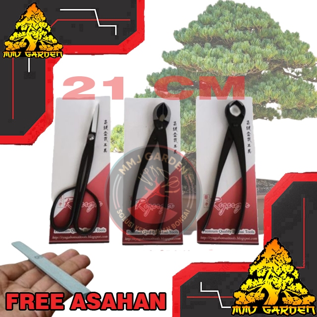 Jual MMJ GARDEN-ALAT BONSAI PAKET 3IN1 CARBON RYUGA FREE ASAHAN CEKUNG ... Jual MMJ GARDEN-ALAT BONSAI PAKET 3IN1 CARBON RYUGA FREE ASAHAN CEKUNG ...