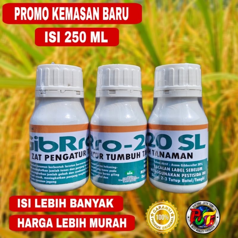 Jual ZPT GIBRO 20-SL 250 ML/ Pupuk Bahan Aktif Asam Gibberellat 20% ...