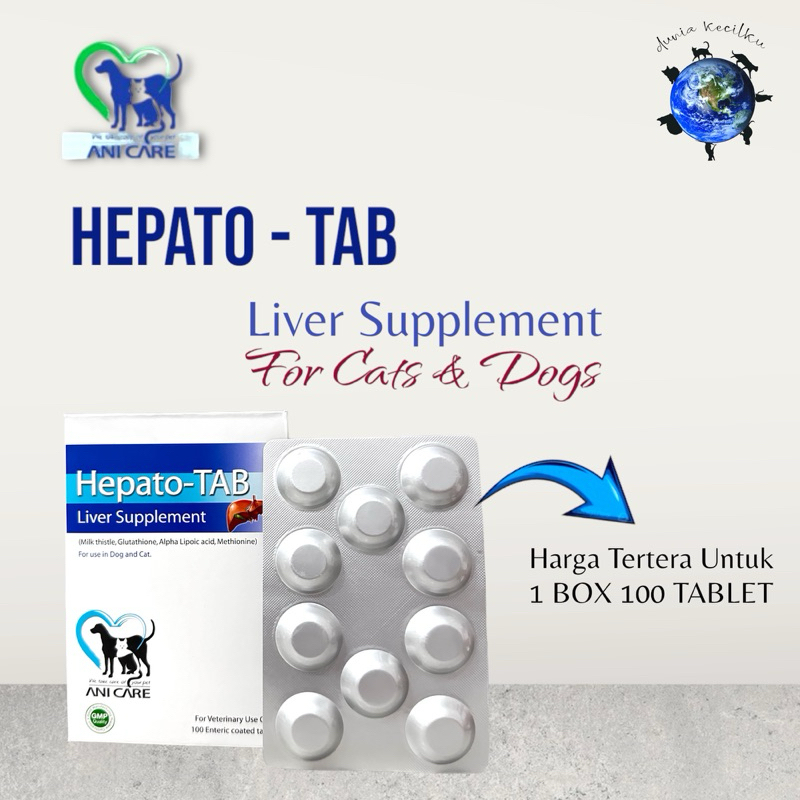 Jual HEPATO TAB Liver Suplemen Anjing Kucing / Hepatic - Vitamin Hati ...
