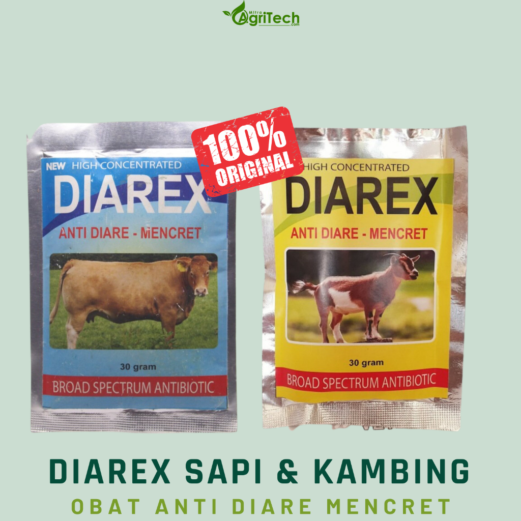 Jual DIAREX SAPI KAMBING OBAT MENCRET DIARE SAPI KERBAU KERBAU DOMBA ...