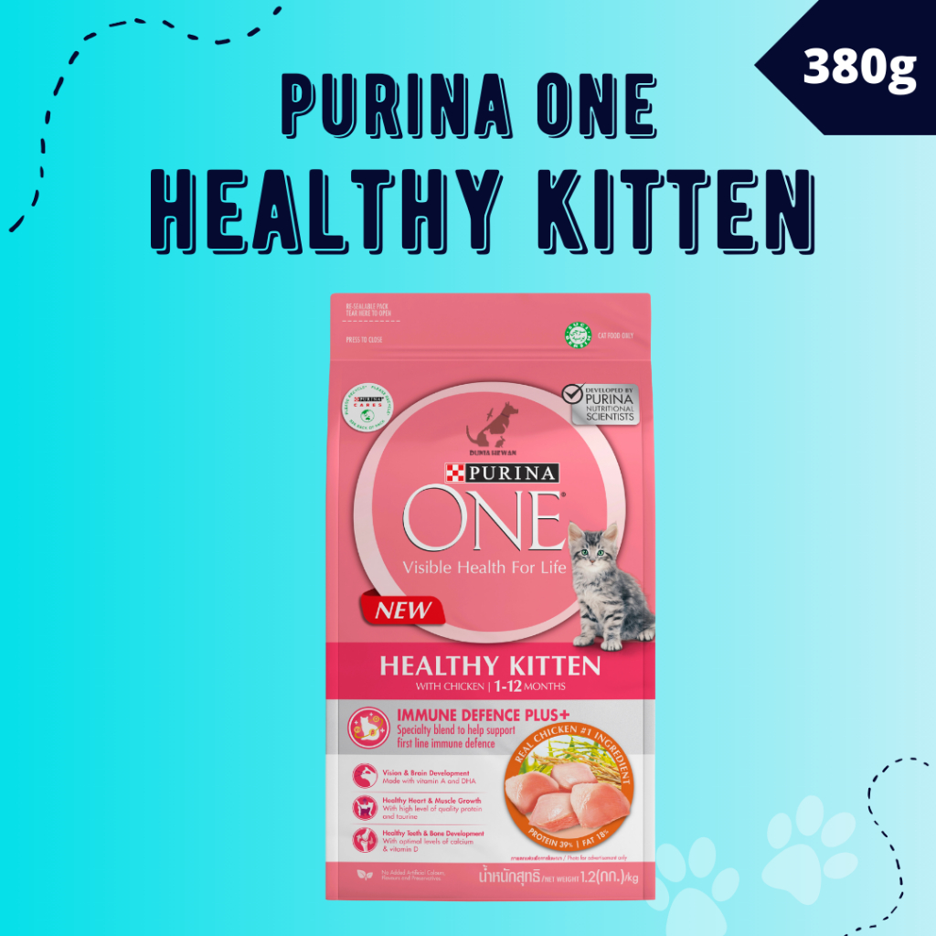 Jual Maknan Kucing Purina ONE Healthy Kitten 380g 380 g | Shopee Indonesia