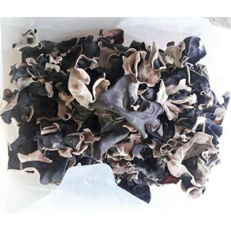 Jual jamur kuping kering super 5 kg gread A | Shopee Indonesia