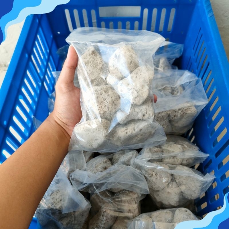 Jual Batu Apung Pumice 3-5cm untuk media filter Aquarium Sump filter ...