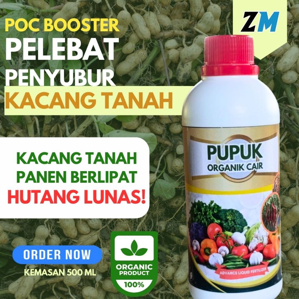 Jual Pupuk Organik Kacang Tanah Booster Cair Tanaman Pelebat Umbi Original 500 Mili | Shopee ...