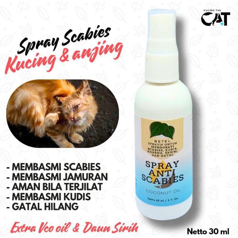 Jual Obat Jamur Kucing The Cat - Obat Scabies Kucing Spray - Obat Jamur ...