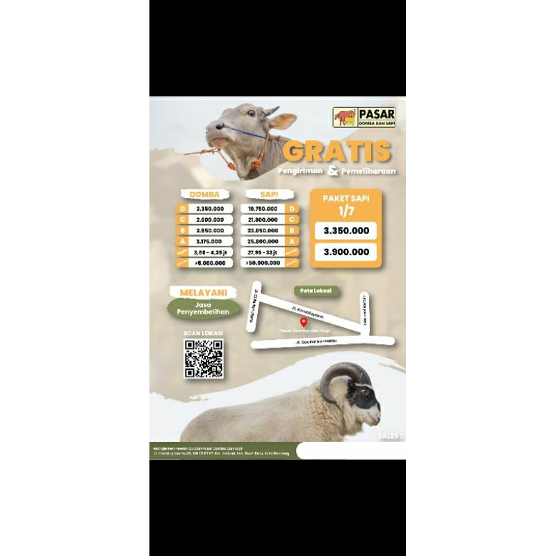 Jual Hewan Qurban - Sapi dan Domba 2024 | Shopee Indonesia