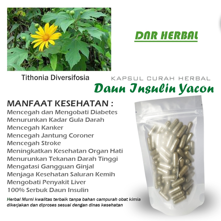 Jual DAUN INSULIN YACON 100 Kapsul Curah Herbal Stroke Diabetes Liver ...