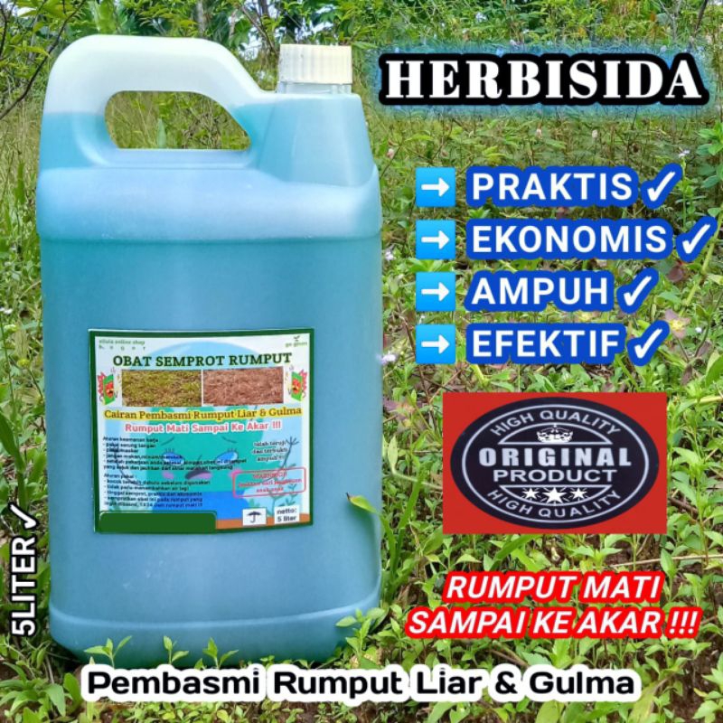 Jual Cairan Pembasmi Rumput Liar & Gulma/5liter Herbisida/Rumput Mati ...