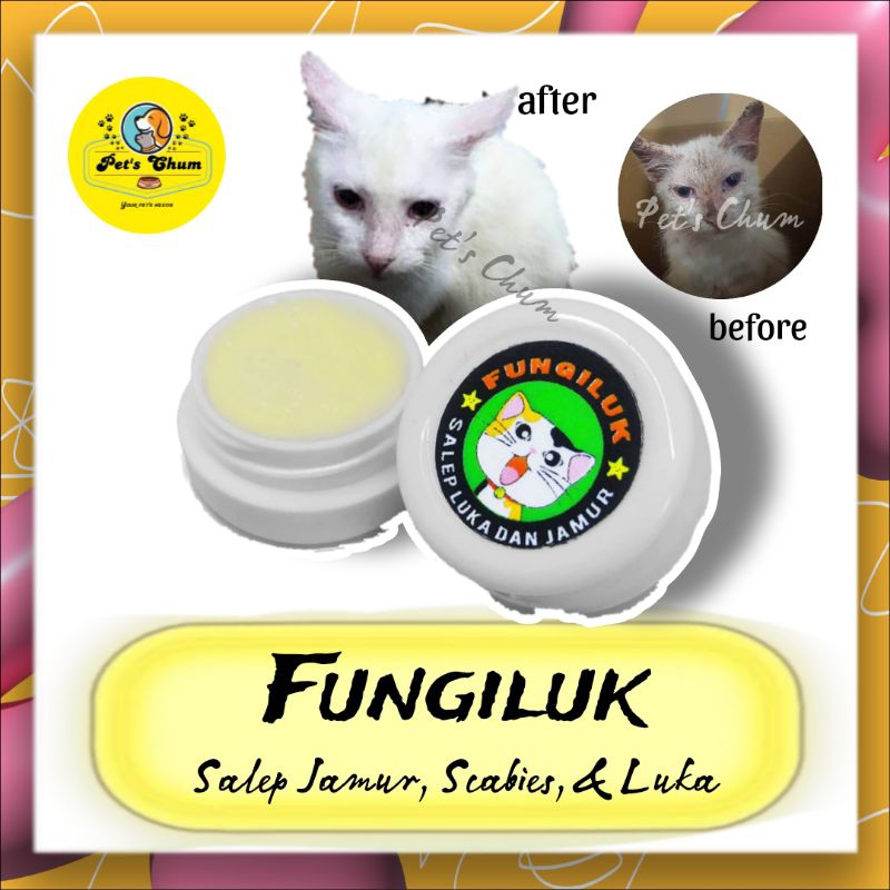 Jual Fungiluk Salep Obat Luka Jamur Scabies Pada Kucing | Shopee Indonesia