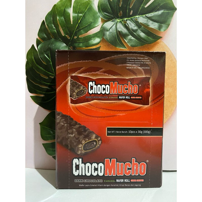 Jual CHOCO MUCHO BOX 300gr (10pcx@30gr) | Shopee Indonesia
