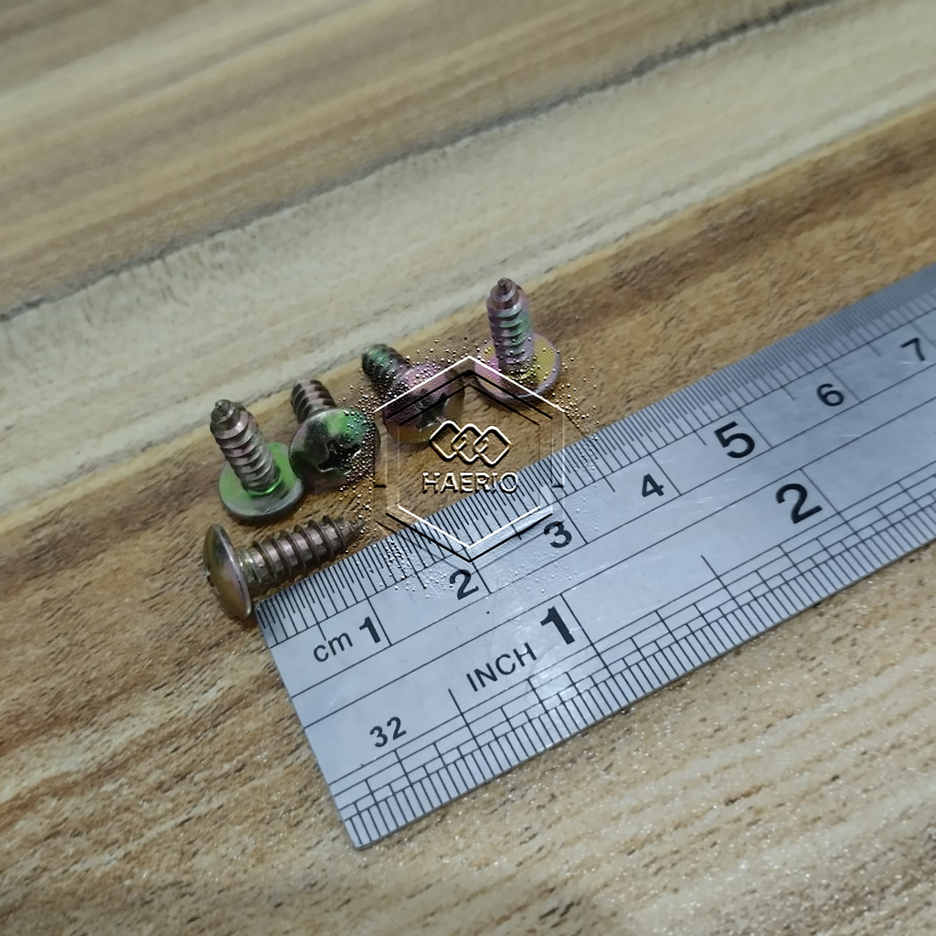 Jual 10 Biji SKRUP TS JT TAB TSAB TSAT PANJANG 1,2 CM 1,2CM 8X1/2 ...