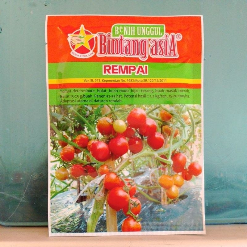 Jual Benih Tomat Rampai Rempai 10Gram @Cap Bintang Asia | Shopee Indonesia