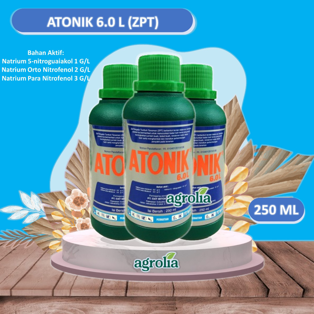 Jual ATONIK 6.0L 250ML | ZAT PENGATUR TUMBUH | MENINGKATKAN ...
