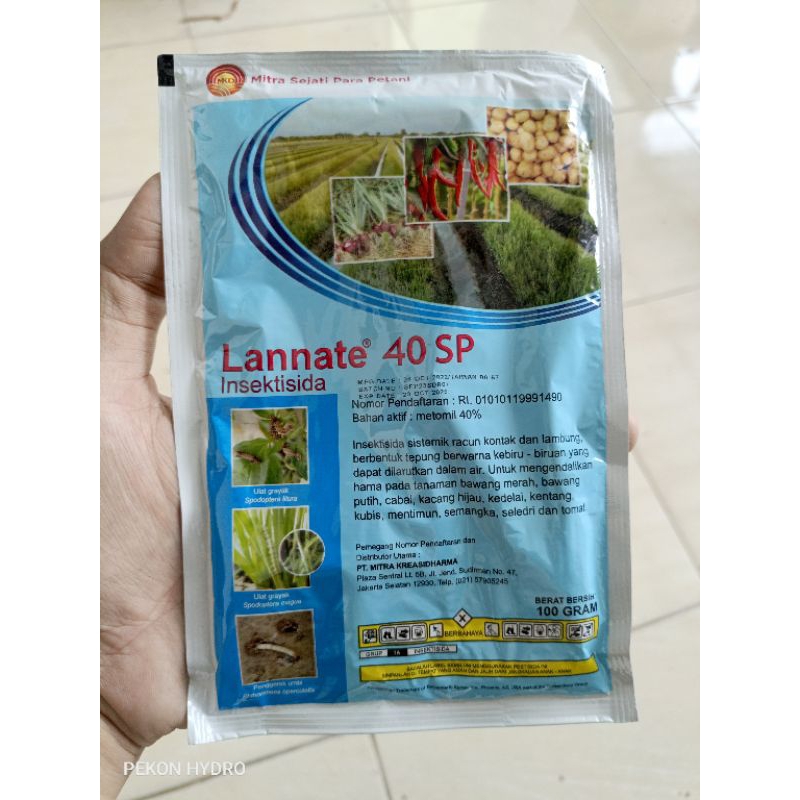 Jual ORIGINAL!! INSEKTISIDA DUPONT LANNATE 40 SP BIRU 100 gram | Shopee Indonesia