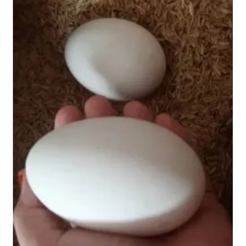 Jual Telur Angsa Soang Fress 100% Konsumsi | Shopee Indonesia