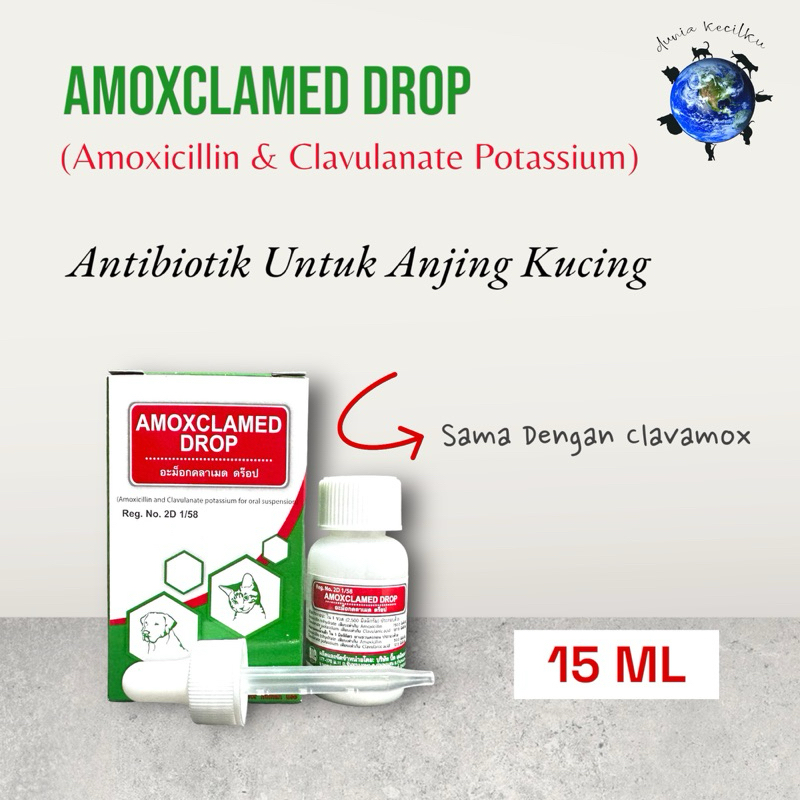 Jual Amoxclamed Drop Antibiotik Khusus Hewan Anjing Kucing - Atasi Flu ...