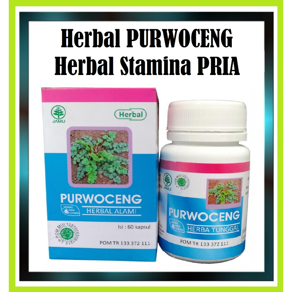 Jual HIU Purw0ceng - Herbal Purwoceng Mengatasi Gangguan Keperkasaan ...