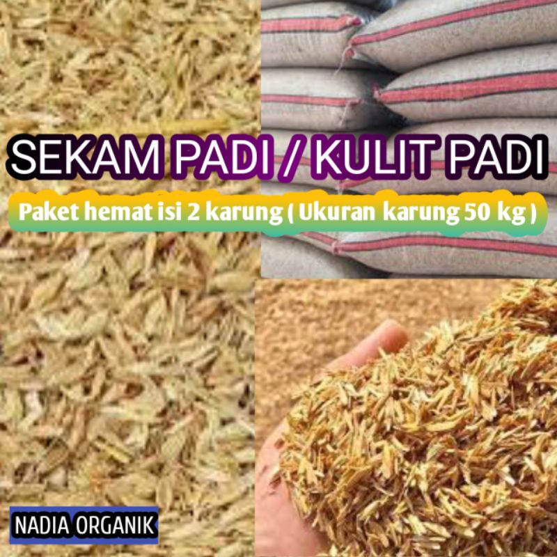 Jual Sekam padi / kulit padi PAKET HEMAT 2 Karung (ukuran karung 50 kg ...