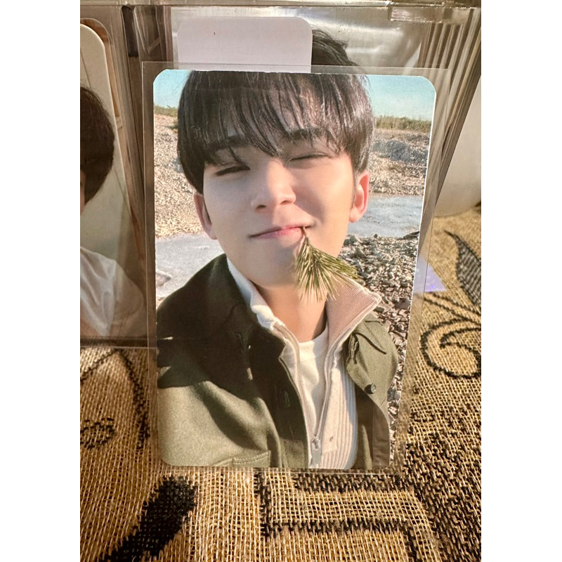 Jual wts Seventeen Photocard Mingyu Face The Sun FTS Lucky Draw [baca ...