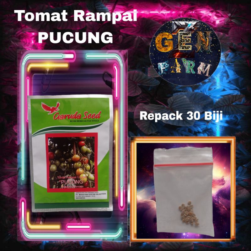 Jual Benih Tomat Rampai Pucung Garuda Seed Bibit Tomat Rampai Pucung ...