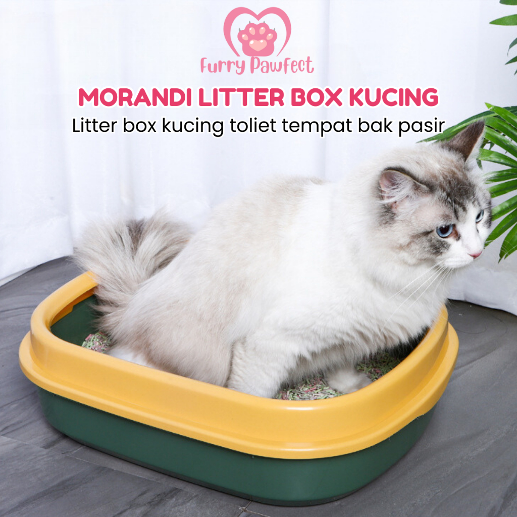 Jual Morandi Litter Box Kucing - Toilet Kucing Anabul Wadah Pasir Pup ...