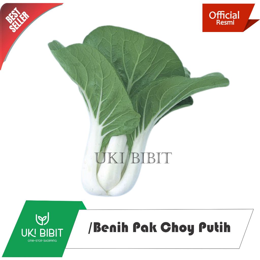 Jual ( 100 Butir ) Benih Pakcoy Putih | Sawi Sendok | Sawi Daging ...