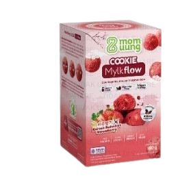 Jual Momuung cookie mylkflow cookies Cemilan Ibu Hamil Busui Pelancar ...
