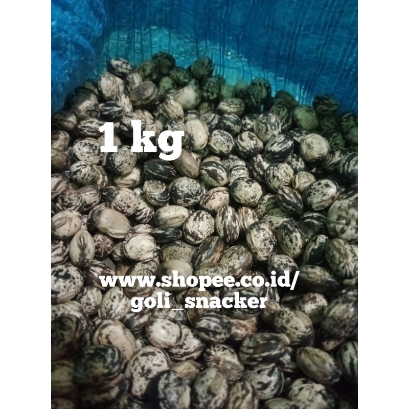 Jual Mucuna Kacang Koro Benguk Blirik Mentah Kiloan 1 Kg | Shopee Indonesia