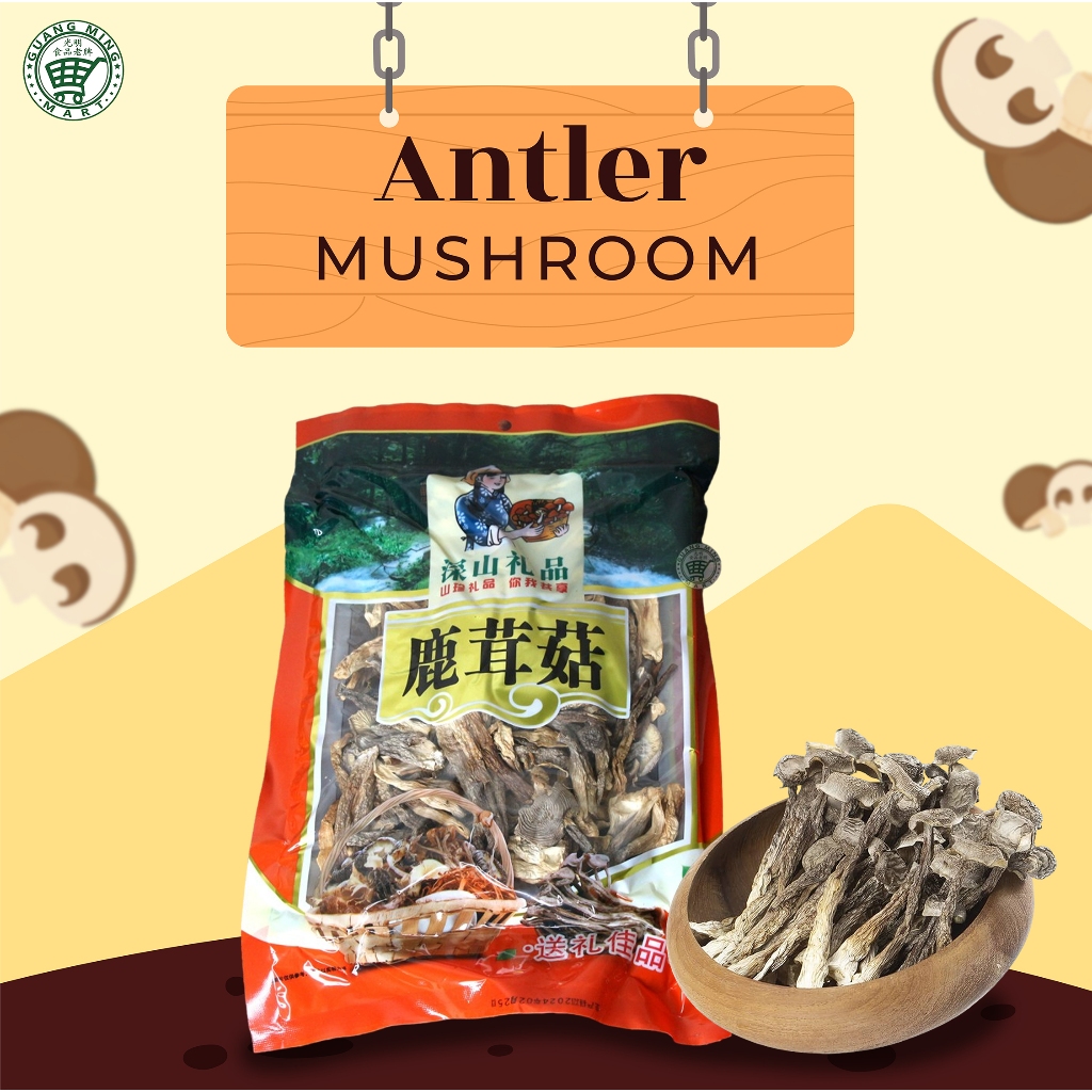 Jual Velvet Antler Mushroom 227gr / Lu Rong Mushrooms / Jamur Kering ...