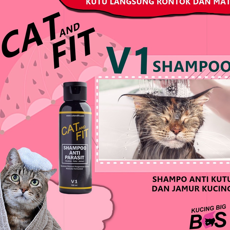 Jual Cat and Fit V1 Shampoo Anti Parasit Kutu r dan Scabies | Shopee Indonesia