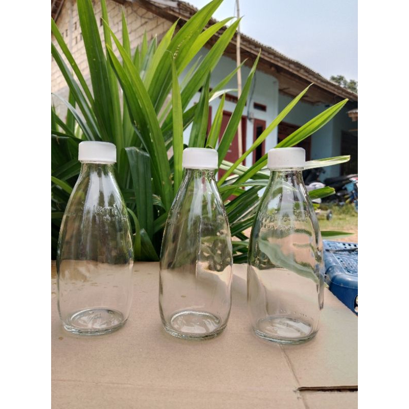 Jual Botol Kaca 250ml | Shopee Indonesia