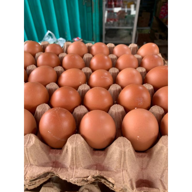 Jual TELOR NEGERI FRESH 1 KG (16 TELUR) | Shopee Indonesia