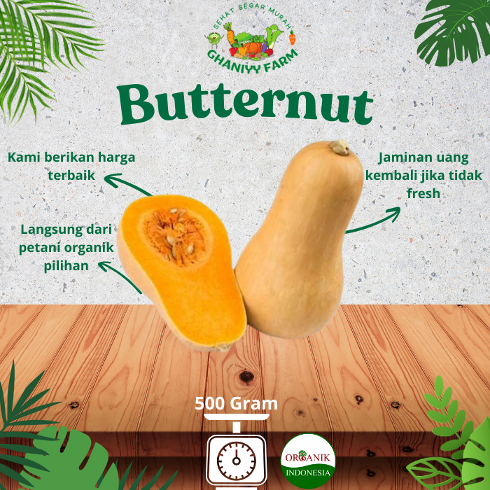 Jual Sayur Organik Lokal Butternut Pumpkin Labu Madu Manis Fresh Segar ...