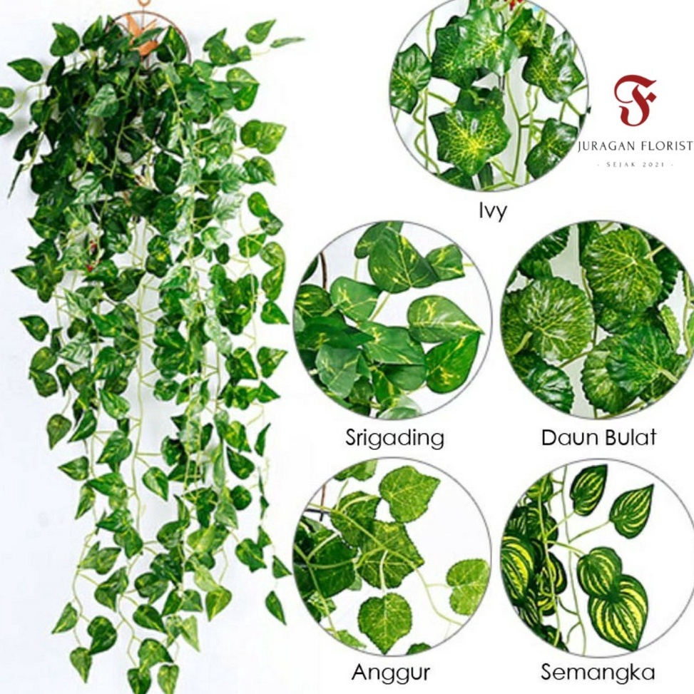 Jual Ss DAUN RAMBAT JUNTAI 9X9 BUNGA PLASTIK PCS HIAS ARTIFISIAL ...